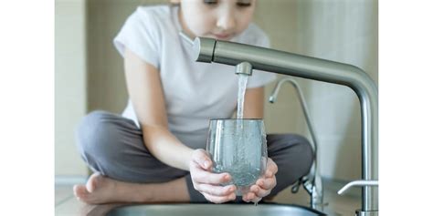 Water Filter Science Experiment Water Filters Australia