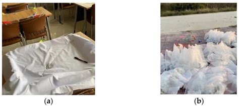 Sample Collection And Processing A A Wire Frame Used To Define A Download Scientific Diagram