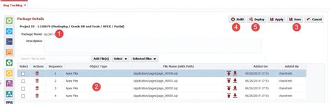 Flexdeploy Loves Apex Deploy Individual Application Pages Flexagon