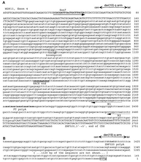 Chromosome 10 And 19 Sequences Around The Translocation Breakpoints Download Scientific