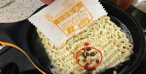 모두가 속고 있었던 짜파게티 속 고기의 진실 오펀 디스커스