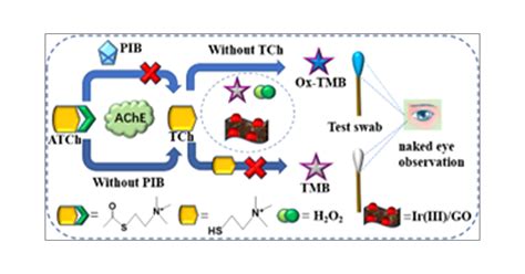 Highly Active Single Atom Nanozymes With High Loading Iridium For