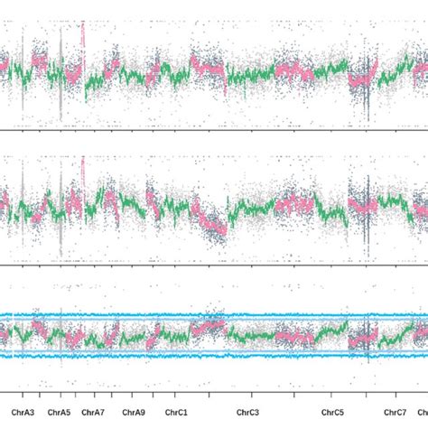 Snp Index G Pool Y Pool And Δsnp Index G Y Graphs From The