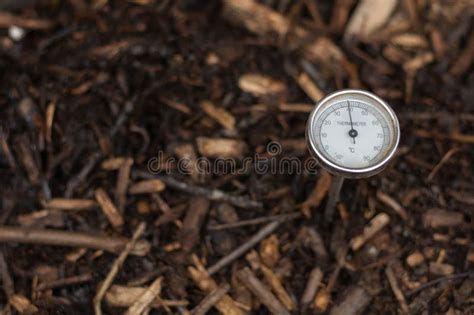 Immature Compost Managed In A Community Composter With One Thermometer To Control The Process