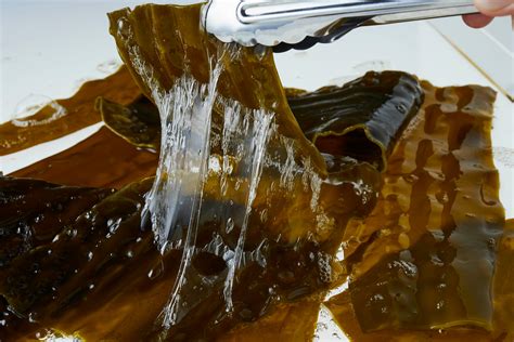 【rubyd Series】スカルプ＆ヘアケア シャンプー ラビプレショップ