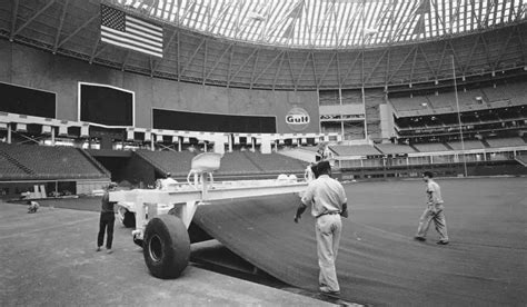 What Are The Most Realistic Artificial Grass Brands Artificial Grass Pros