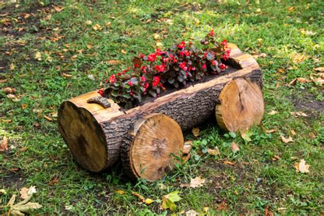 24 Creative Ways To Hide A Tree Stump In Your Garden OH