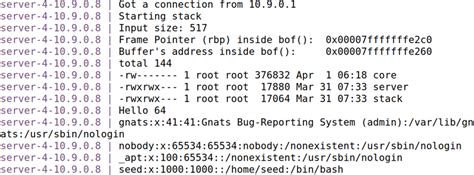 Seed Labs 20 Buffer Overflow Attack Lab Server Version