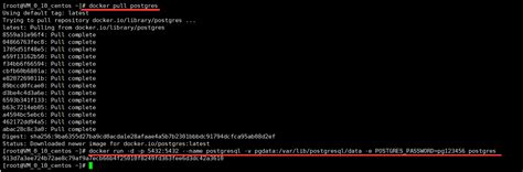 在docker中运行postgresqlpgadmin4 反骨少年 博客园 在docker中运行postgresqlpgadmin4 反骨少年 博客园