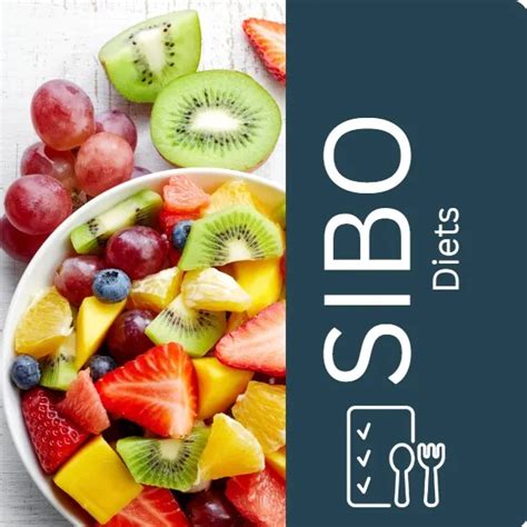 The Sibo Bi Phasic Diet
