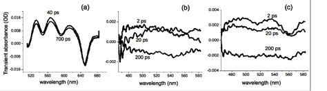 Transient Absorption Spectra As A Function Of Time Delays For A Download Scientific Diagram