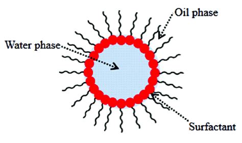 An Illustration Of The Microemulsion Droplet System Download Scientific Diagram
