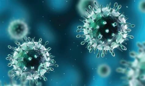 An Introduction To Infectious Disease Modelling Emilia Vynnycky And Richard G White