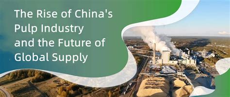 The Rise Of Chinas Pulp Industry And The Future Of Global Supply