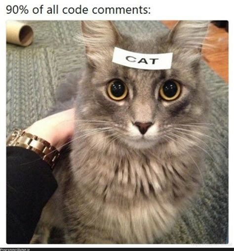 Truth In Commenting ·