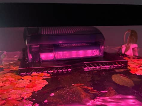 Aquarium Flow Diverter Remixed By Okseklumpen Makerworld Download Free 3d Models