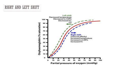 Oxyhemoglobin Dissociation Curve Human Physiologypptx Lung And Respiratory Health Diseases