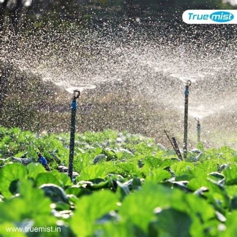 Whats Is The Difference Between Fog Mist And Spray TrueMIST Misting