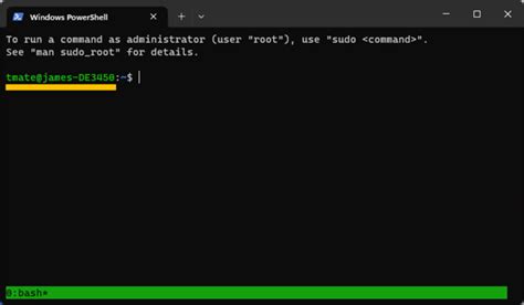 How To Use Tmate Add In Plugin