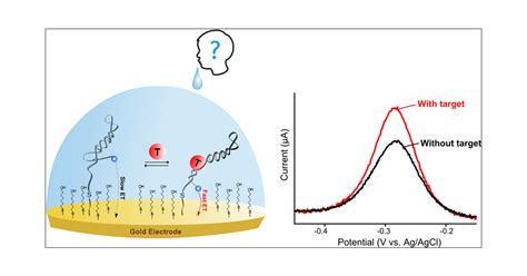 Electrochemical Aptamer Based Biosensors For Measurements In Undiluted Human Saliva Acs Sensors