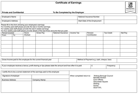 12 Certificate Of Earnings Templates Free Certificate Templates In Word Excel And Pdf Formats