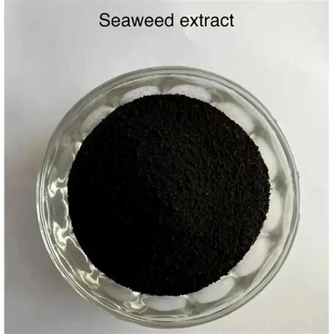 Seaweed Extract Fertilizers Packaging Size 1 L Liquid At ₹ 1200 Kg