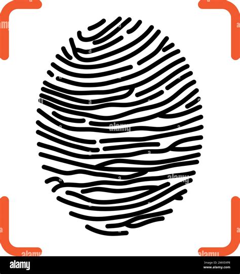 Fingerprint Scan Icon Biometric Identity Accesss Symbol Stock Vector Image And Art Alamy