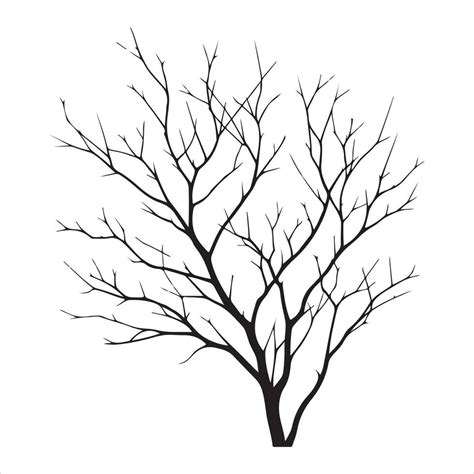 Minimal Autumn Naked Tree Vector Silhouette 36286117 Vector Art At Vecteezy