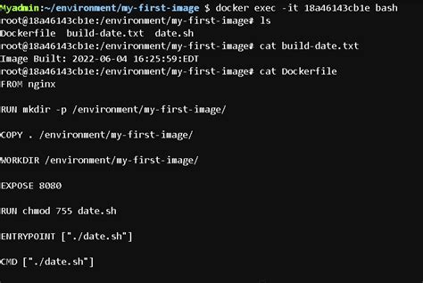 Using Aws Cli To Create Users Groups And S3 Buckets By Deshone Henry Medium