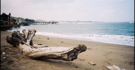 程式語言教學誌 Fb Youtube Pydoing Python 新手之旅 V110 單元 7 Python 有各式各類的開發應用