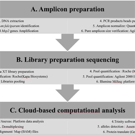 Experimental Workflow From Amplicon Preparation To Data Analysis With Download Scientific