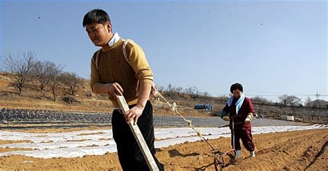 노모와 밭 가는 젊은 농군