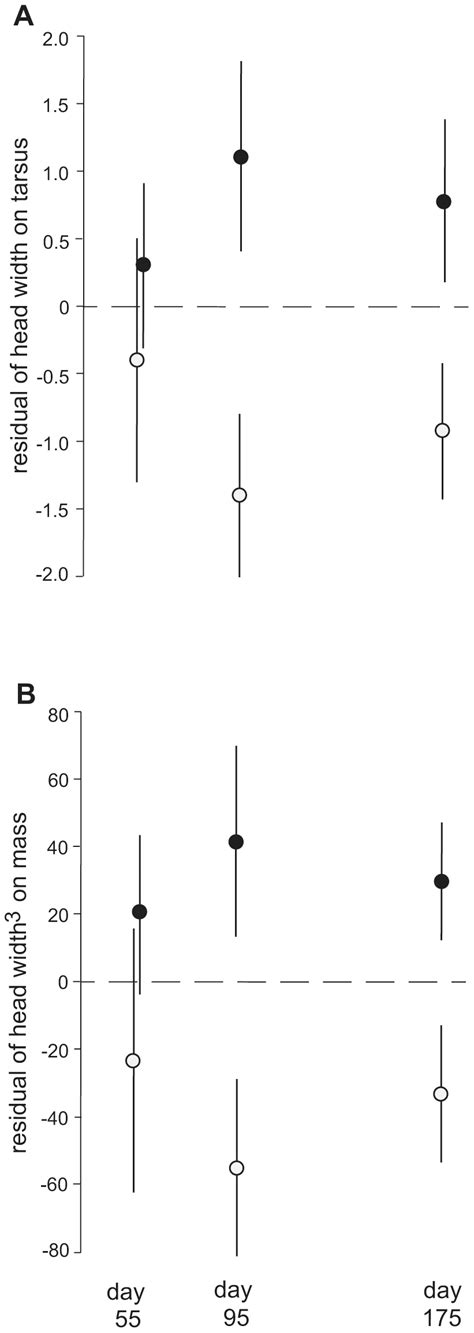 Relative Head Widths Mean±se Of Birds Reared On Hi Vs Lo Diets A