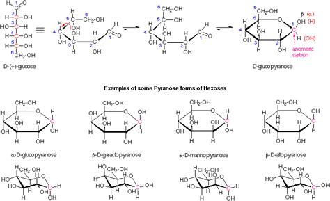 Glucose Ring Structure Formation