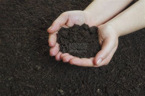 手握着地上的一堆土高清图片下载 正版图片502585813 摄图网
