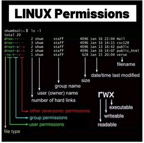 Linux Permissions Ivan Nkomati