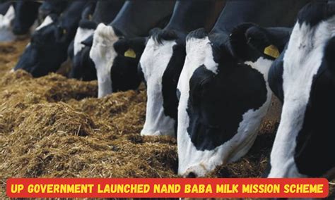 Up Government Launched Nand Baba Milk Mission Scheme