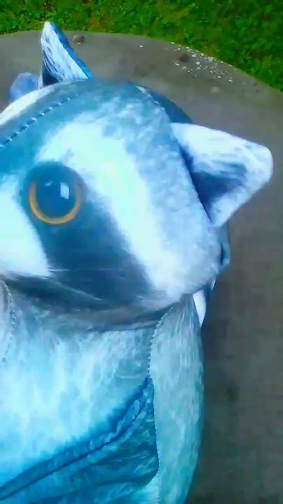 сражение пчела пай мальчиком был Youtube