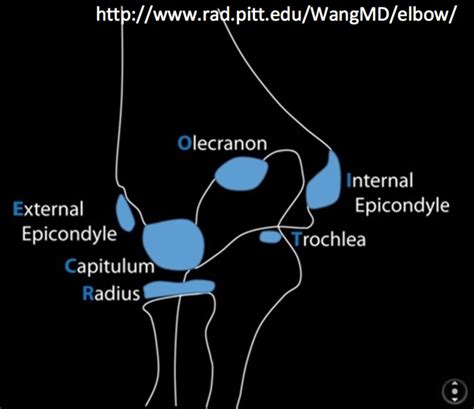 Ossification Centers Elbow