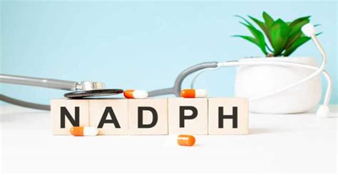 ATP And NADPH Full Form What Is The Full Form Of ATP And NADPH