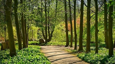 Spring Bootのwebの一覧画面上でページング処理を実装してみた完成イメージと前提条件｜itエンジニアとして経験・学習したこと