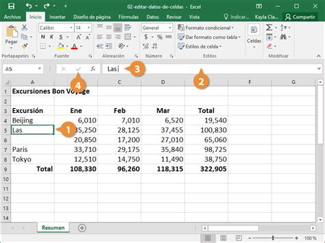 Editar Datos De Celdas Customguide