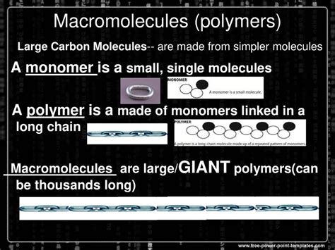 Chemistry Of Life Ppt Download