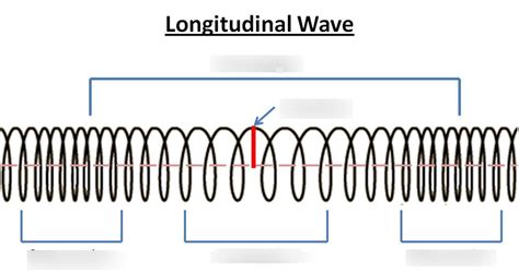 Longitudinal Compression Wave Diagram Diagram Quizlet