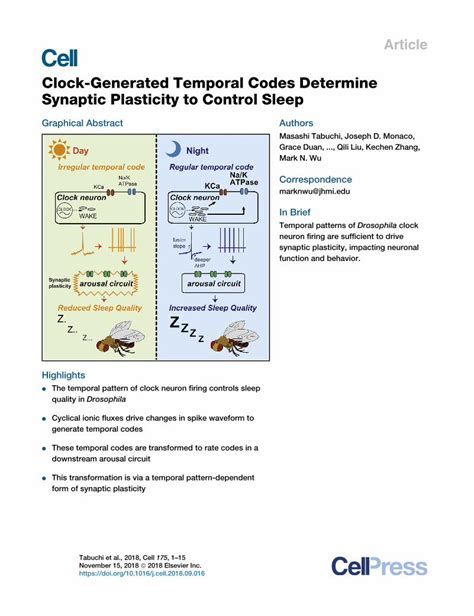 Pdf Clock Generated Temporal Codes Determine Synaptic Article