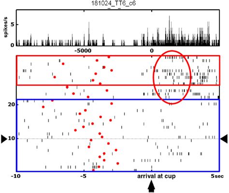 Raster Of Cell Showing A Transition In Activity Related To The Download Scientific