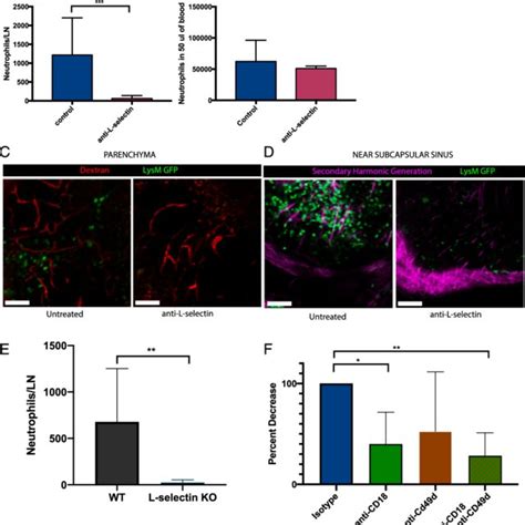 Paul Kubess Research Works The University Of Calgary Calgary Hbi