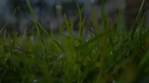 Levent Coskun On Linkedin Mammotion Luba2 Robot Lawnmower Garden