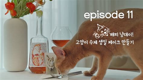 고양이 생일파티🐱 해피 냥데이 츄르 템테이션 트릿을 이용한 고양이 케이크 만들기 Youtube