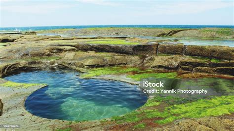 유명한 그림 8 풀 시드니 근처 로얄 국립 공원에서 화창한 여름 날 에 맑고 푸른 물이 가득한 0명에 대한 스톡 사진 및 기타 이미지 Istock